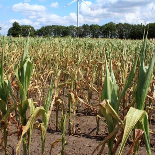 Why Is Safe Yield Important to the Water Utility? - McWane Ductile ...