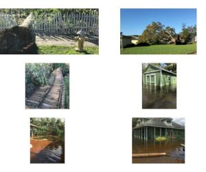 Clow hydrant standing tall after Hurricane Irma - McWane Ductile - Iron ...